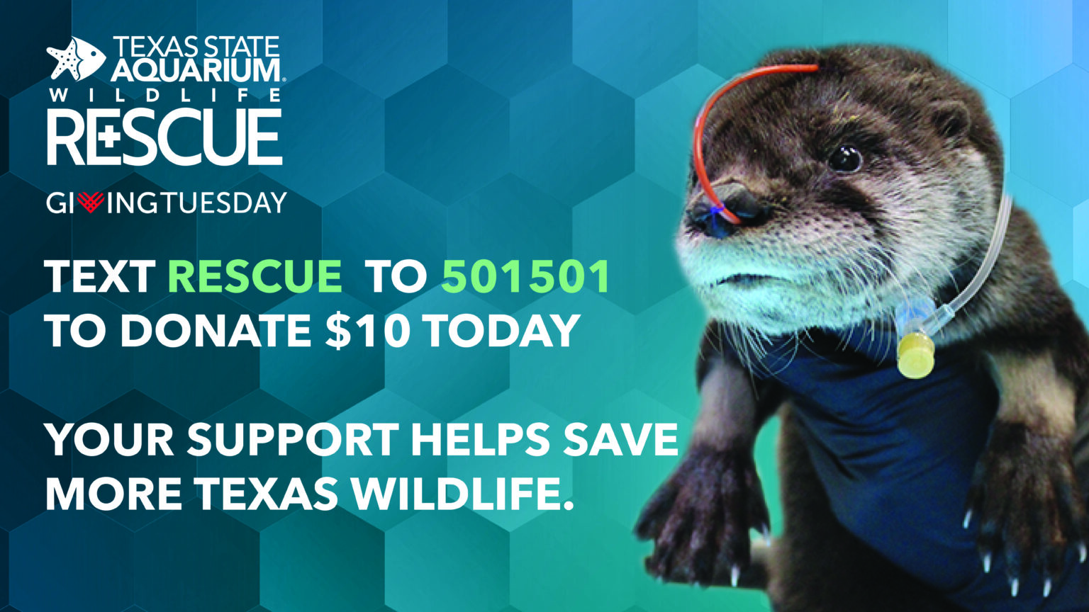 Rescue Text to Donate v2 - Texas State Aquarium